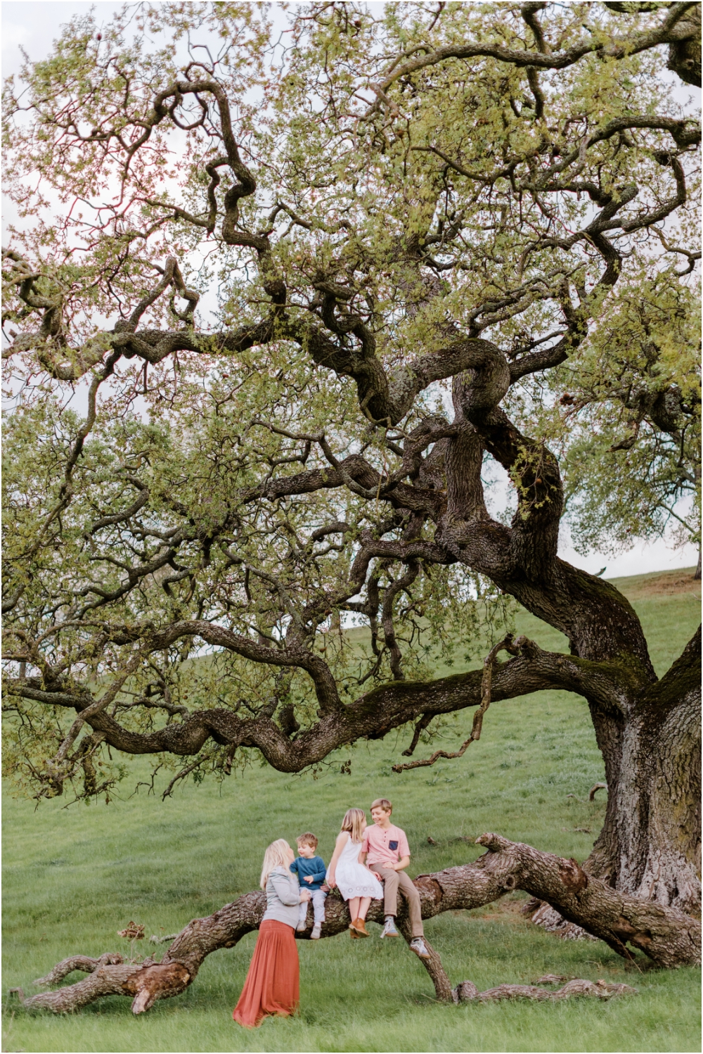 A Borges Ranch Portrait Session with the Klas Family